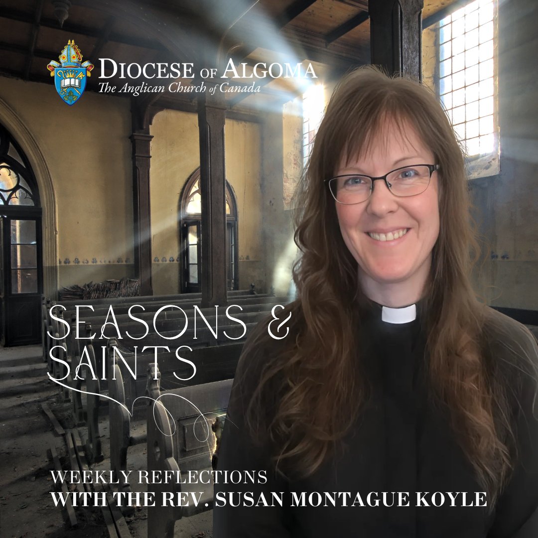 Seasons and Saints — Week of Prayer for Christian Unity | Diocese of Algoma